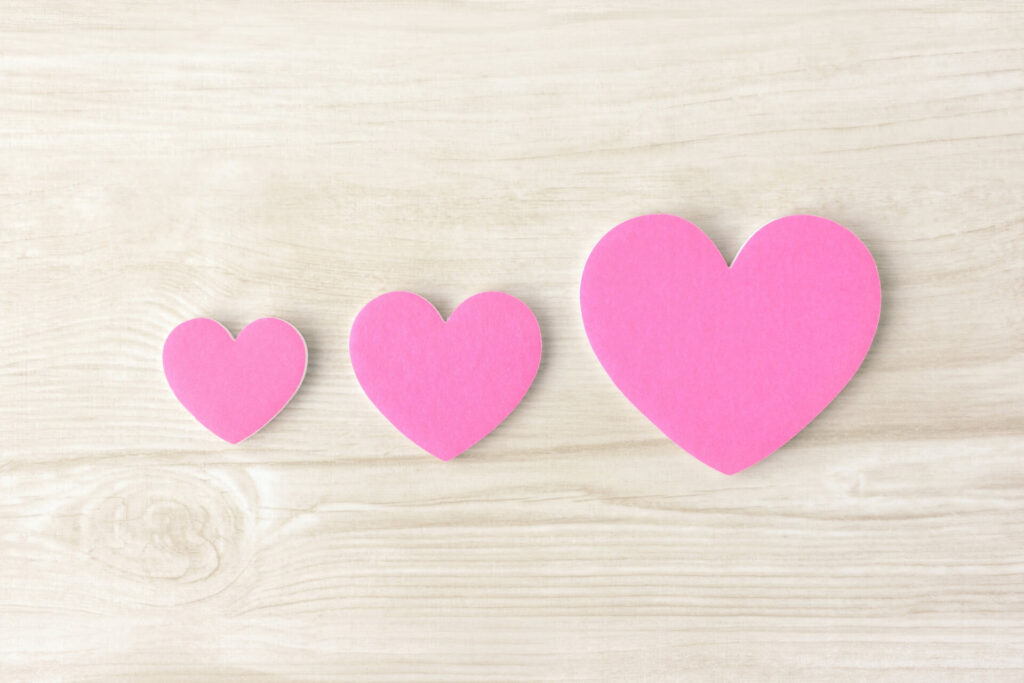 IPP-2225U IPP-2224S違いは5つ！あなたに合うのはどっち？